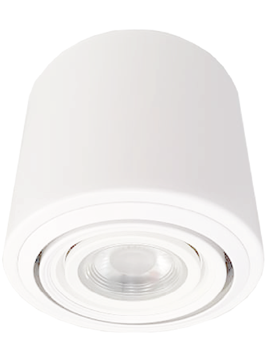 LED Surface Adjustable Downlight CRD SU/AR111