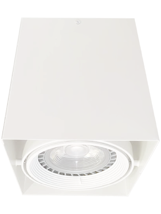 LED Surface Adjustable Downlight CRD SU/AR111/PAR30